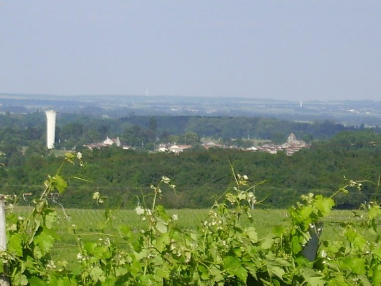 Histoire et patrimoine de Migron (Charente Maritime) - Histoire de ...