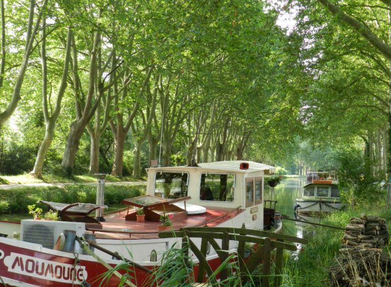 Histoire et patrimoine de Ramonville Saint-Agne (Haute-Garonne ...